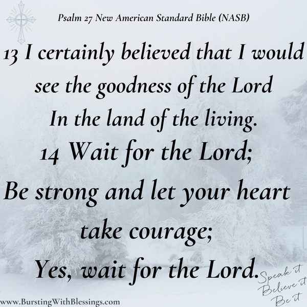 How To Take Courage While Waiting For God's Timing: Devotional Psalm 27:13-14