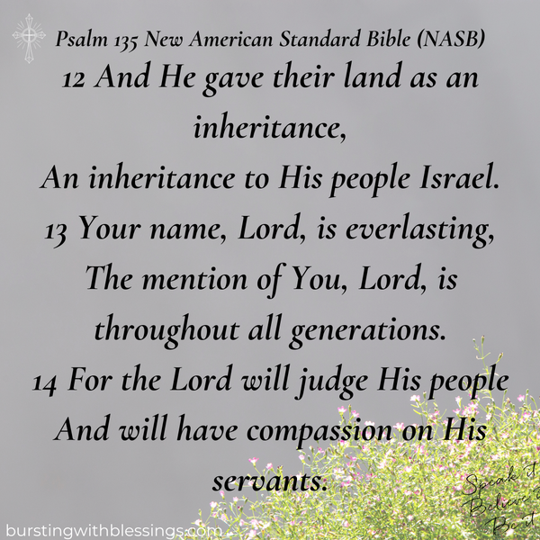 How To Inherit Your Promise Land and Blessings From The Lord ...